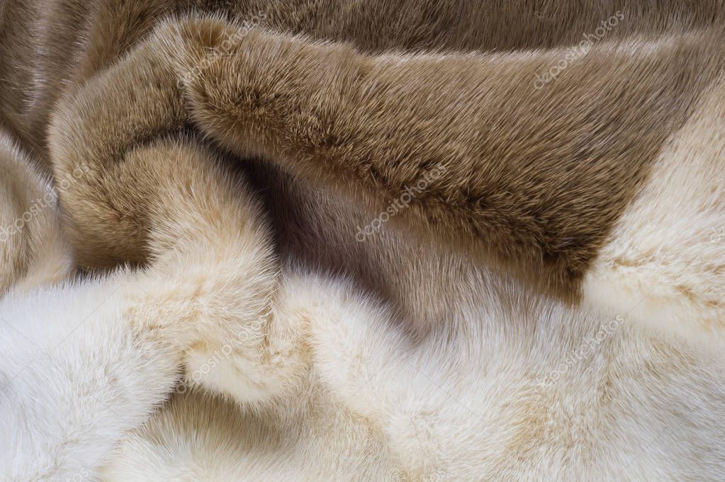 Textura, fondo. piel de visón. Abrigo de visón. Piel de visón de color ...