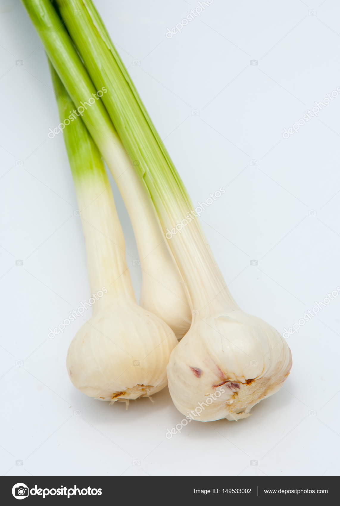 Garlic Garlic Ripened Stem Leaf Strong Smelling Pungent Tasting Bulb ...