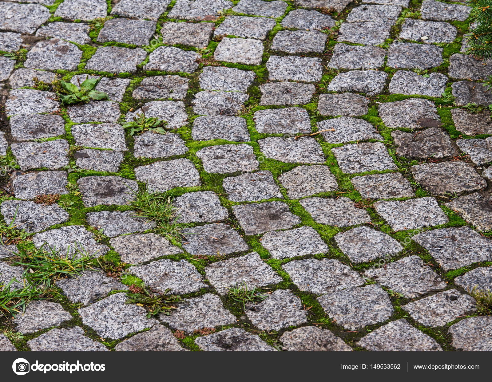 Texture Background Pavement Granite Stone Paved Roadway Street Any ...
