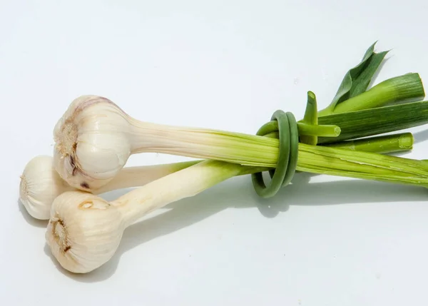 Garlic Garlic Ripened Stem Leaf Strong Smelling Pungent Tasting Bulb ...