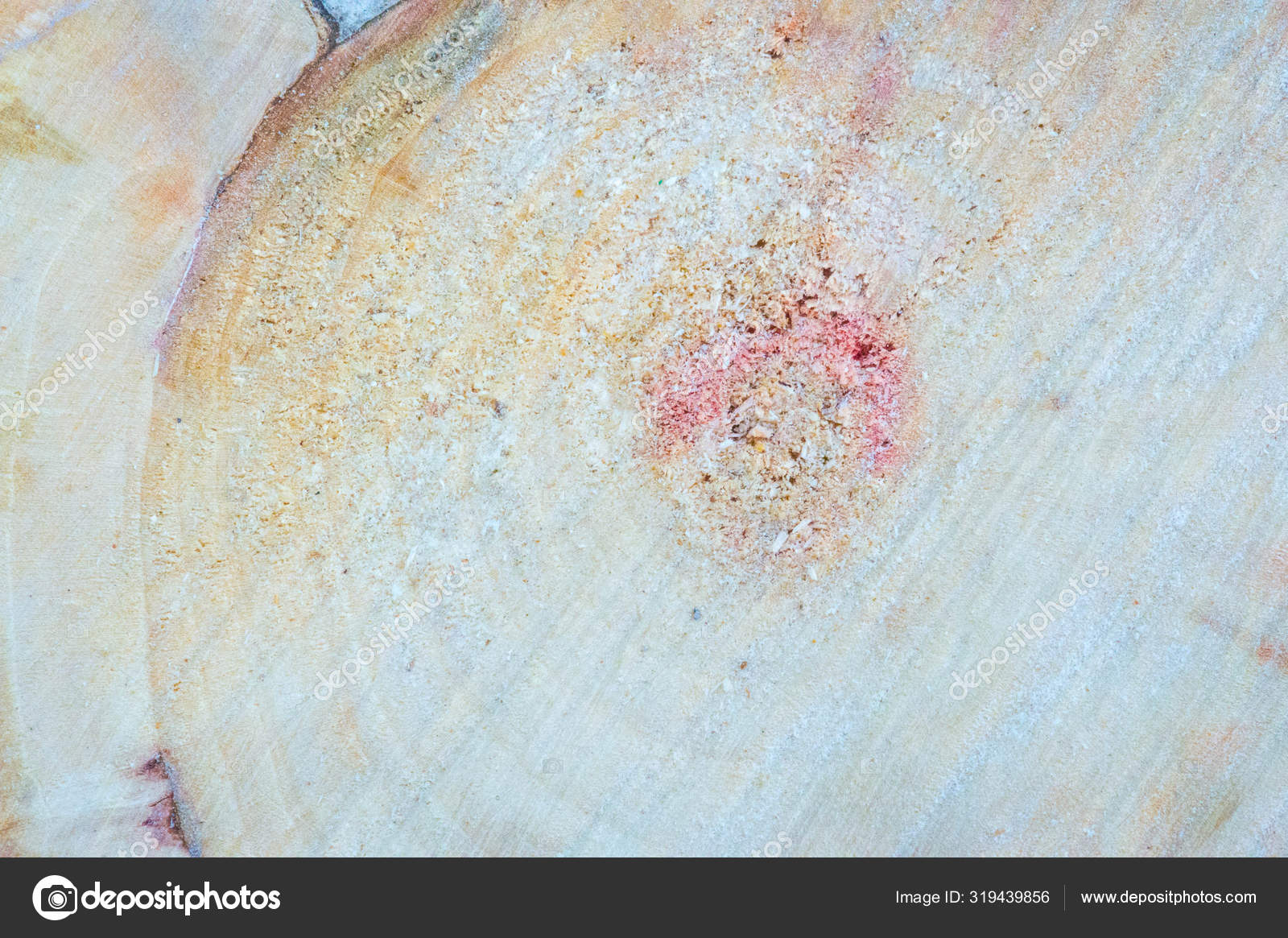 A fallen tree, a stump. the bottom part of a tree left projectin ...