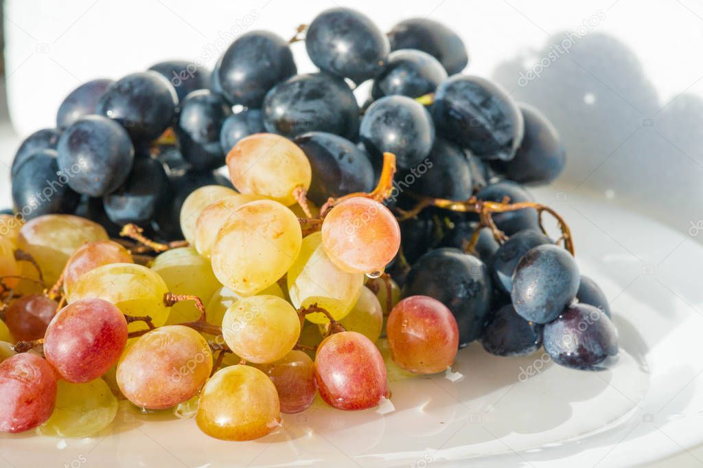 Las uvas se pueden comer frescas como uvas de mesa o se pueden utilizar ...