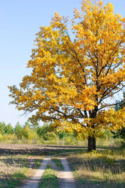 A wonderful time to fall - Stock Image - Everypixel