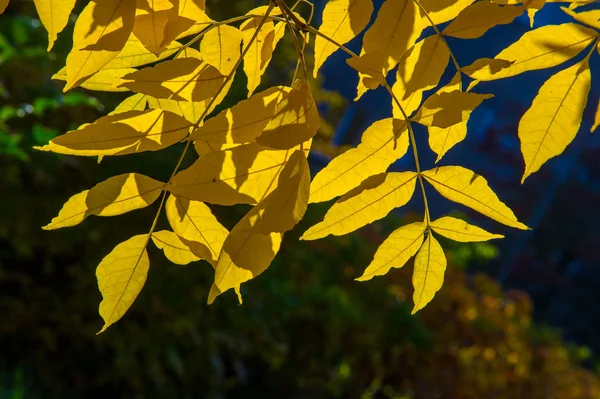 A wonderful time to fall - Stock Image - Everypixel
