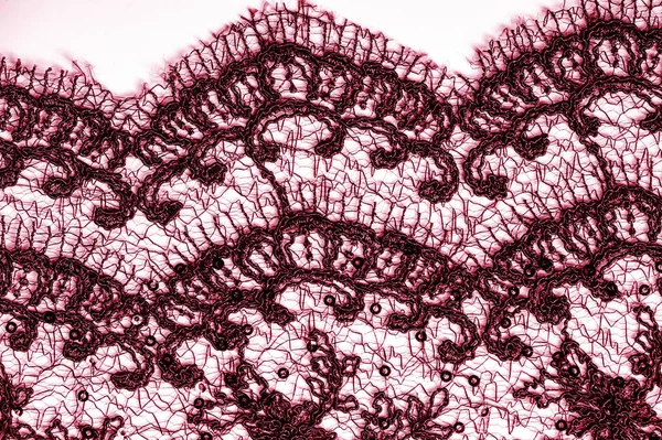 Texture, pattern, lace fabric in red on a white background. Delicate ...