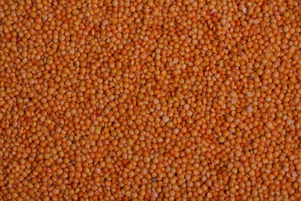 Red lentils background images libres de droit, photos de Red lentils ...