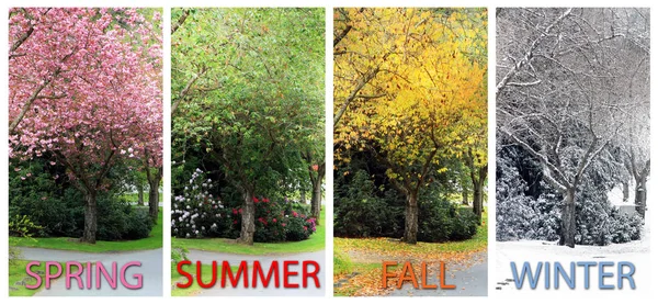 Seasons Stock Photos, Royalty Free Seasons Images | Depositphotos
