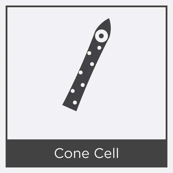 Retina. Rod cells and cone cells. Vector — Stock Vector © edesignua ...