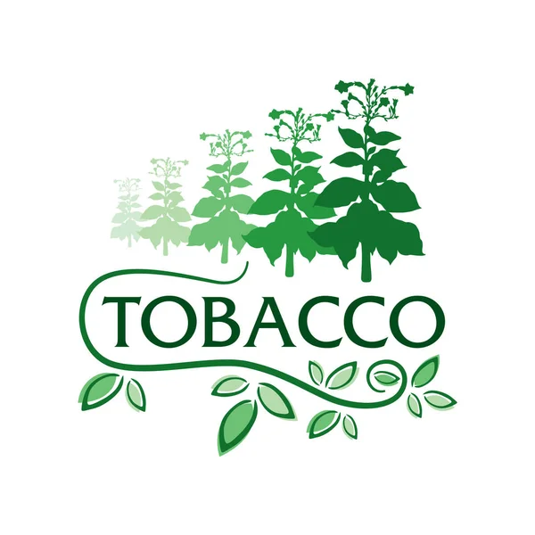 100,000 Tobacco logo Vector Images | Depositphotos