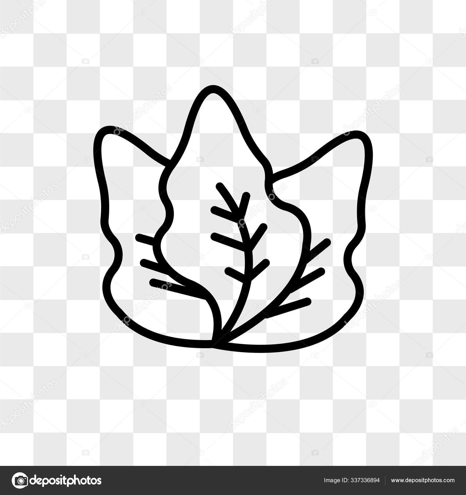 Kale vector icon isolated on transparent background, kale logo d Stock ...