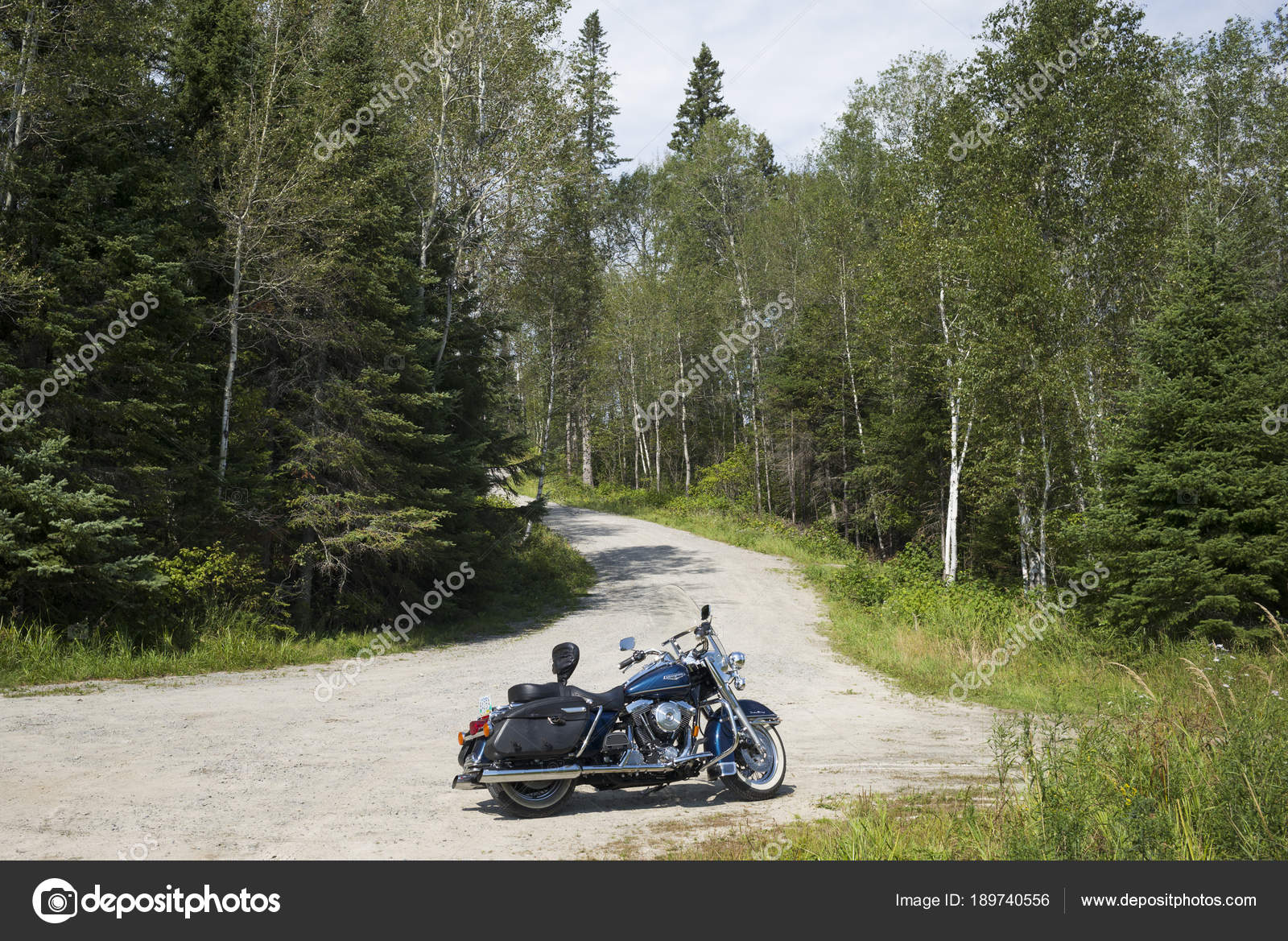 Motorcycle Green Forest Background – Stock Editorial Photo © klevit ...