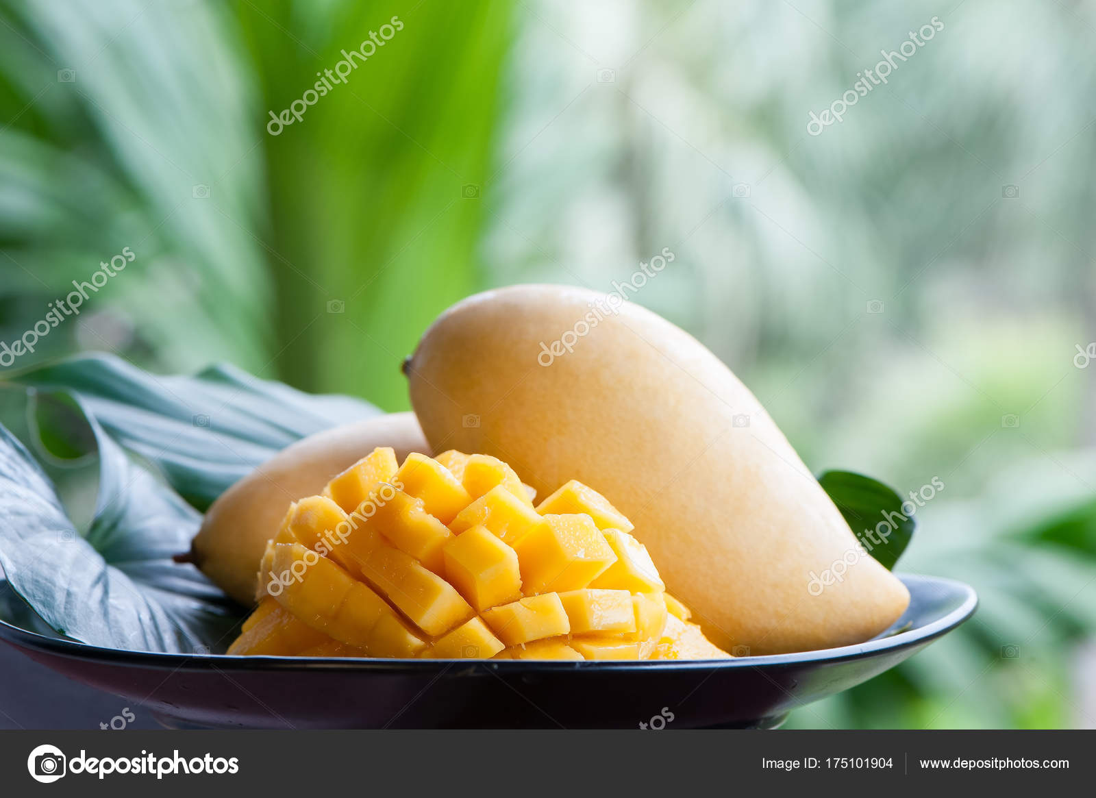 Mango in natural conditions on a beautiful tropical background. — Stock ...