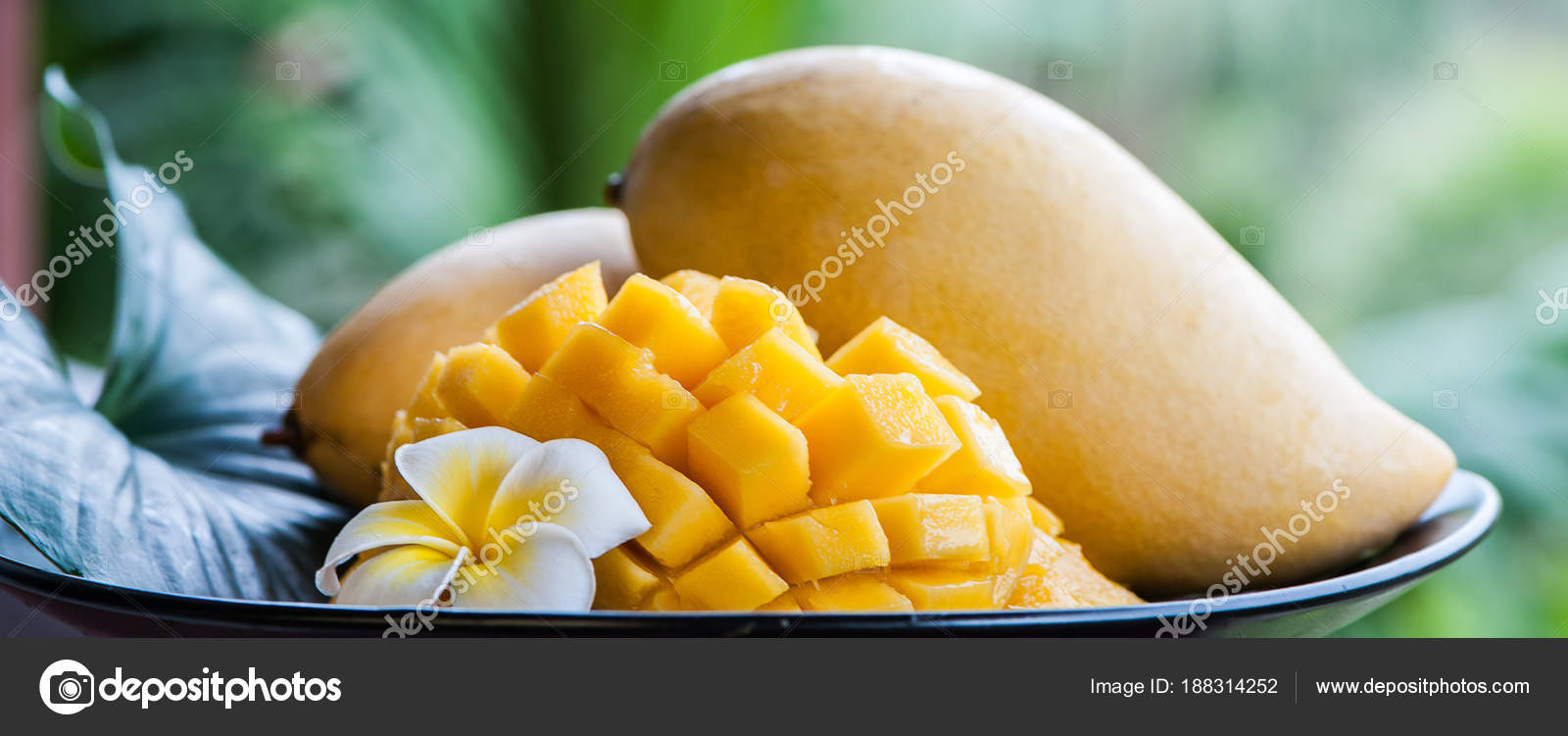 Mango in natural conditions on a beautiful tropical background. — Stock ...