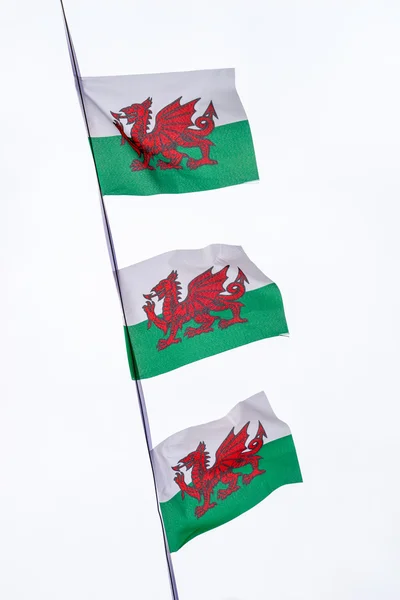 Welsh Flag — Stock Photo © Chrispo #11063968