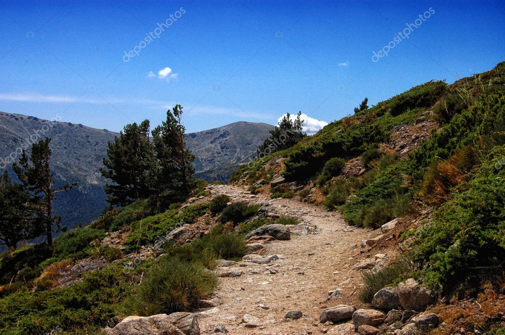Mountain forest track — Stock Photo © claverinza #127979112