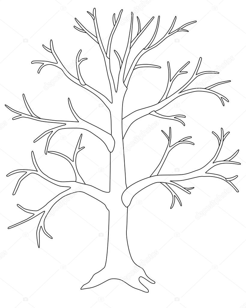 Un árbol grande sin hojas es una imagen lineal vectorial para colorear ...
