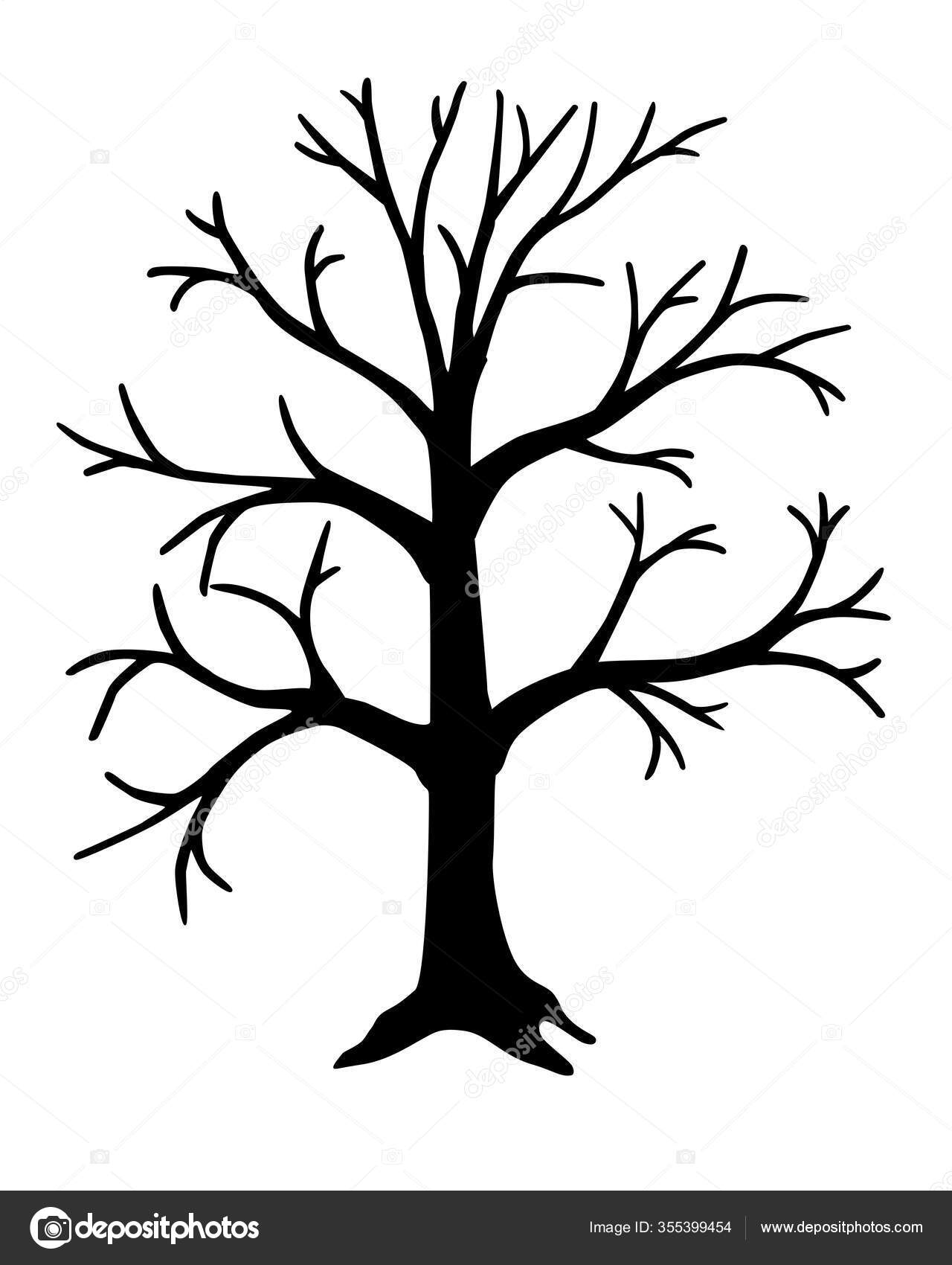 Trestamme Vektor Svart Fototapet Svart Tre Silhuett Uten Blader,