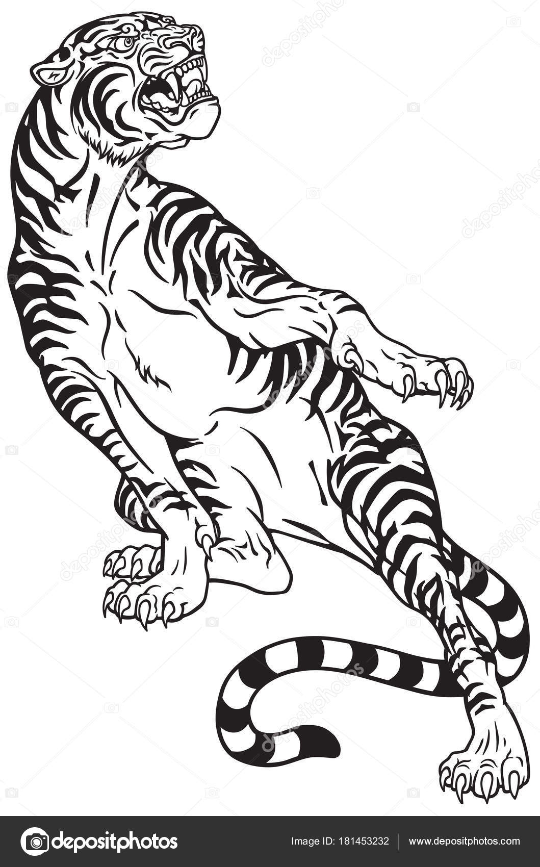 Aggressive Tiger Black White Tattoo Style Vector Illustration Stock ...