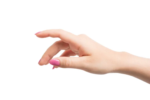 Woman Hands Gestures White Background Stock Photo by ©sorapopu@gmail ...