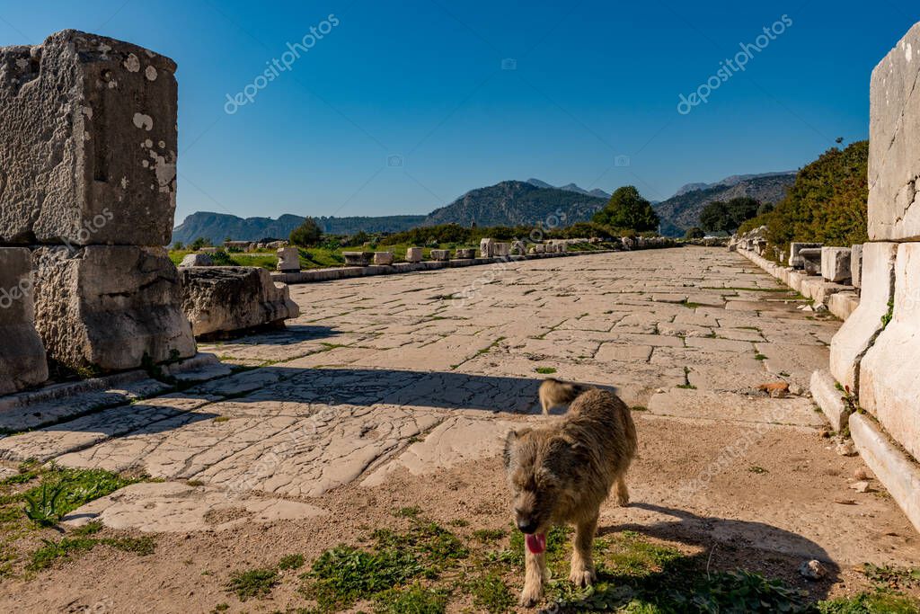 La antigua ciudad de Xanthos - Letoon (Xantos, Xhantos, Xanths) en Kas ...