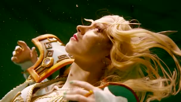 Close up shot of a lovely blone elf lonely floating under water on its ...