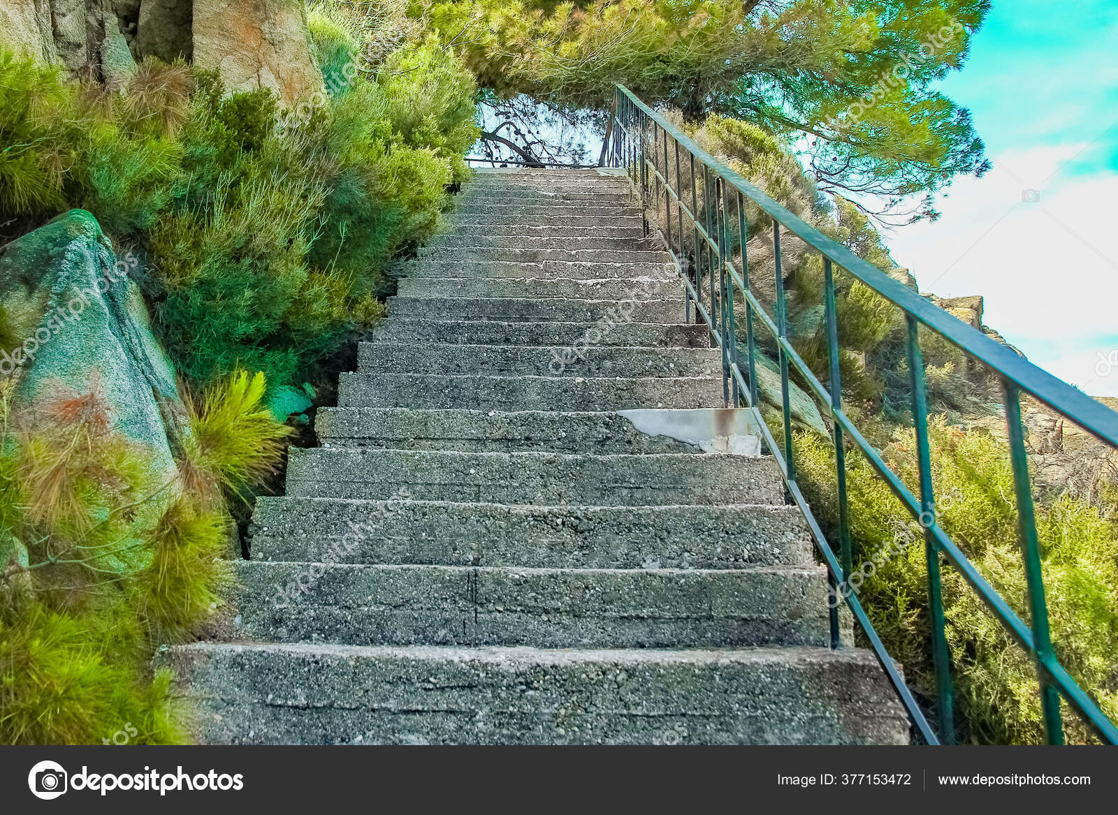 Beautiful Staircase In Nature
