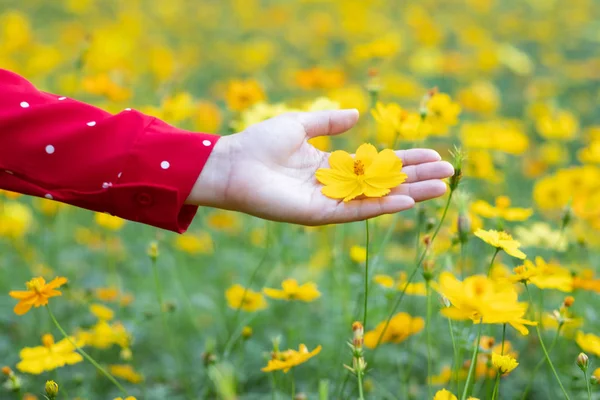 Touching a flower — Stock Photo © mazikab #334302430