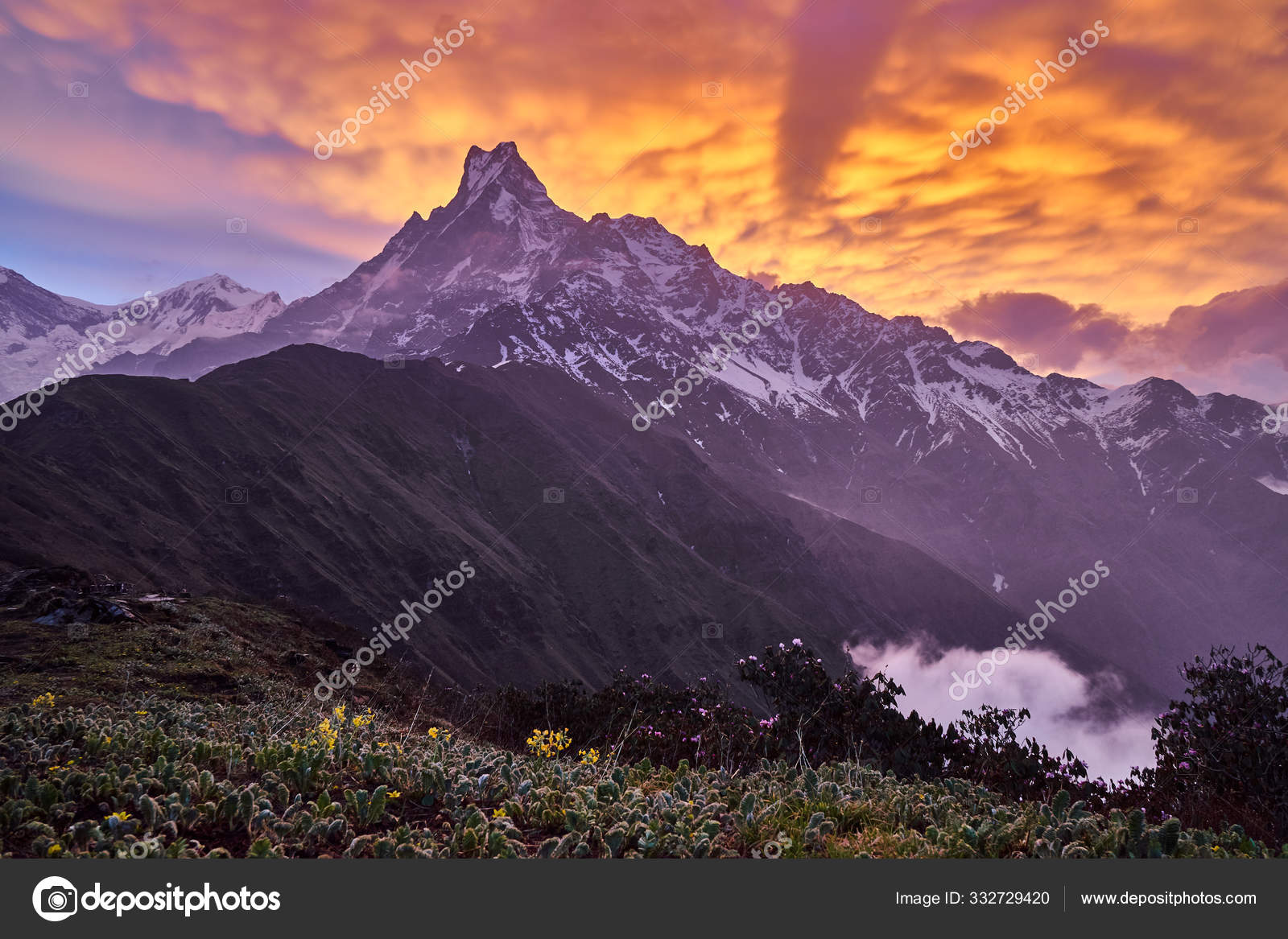 Stunning Colorful Sunrise View Mardi Himal Machapuchare Tail Peak Nepal ...