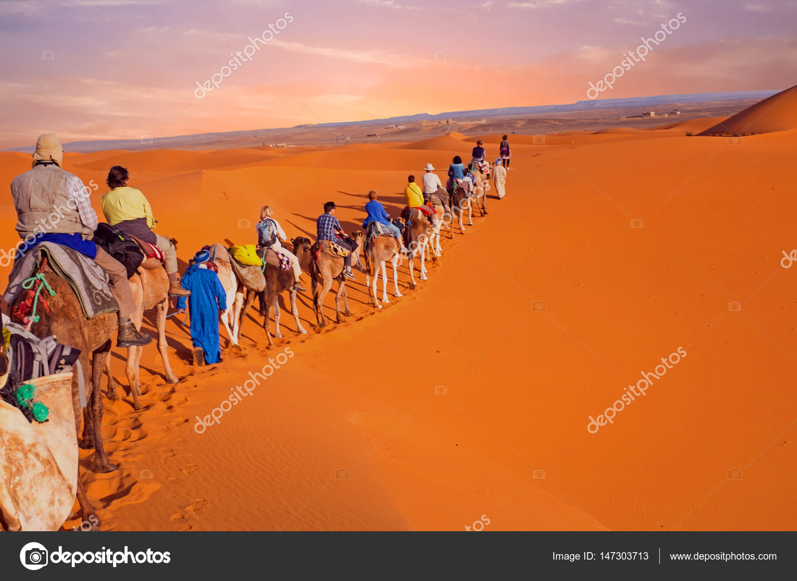 Camel caravan going through the sand dunes in the Sahara Desert, — Stock Photo © nilaya #147303713