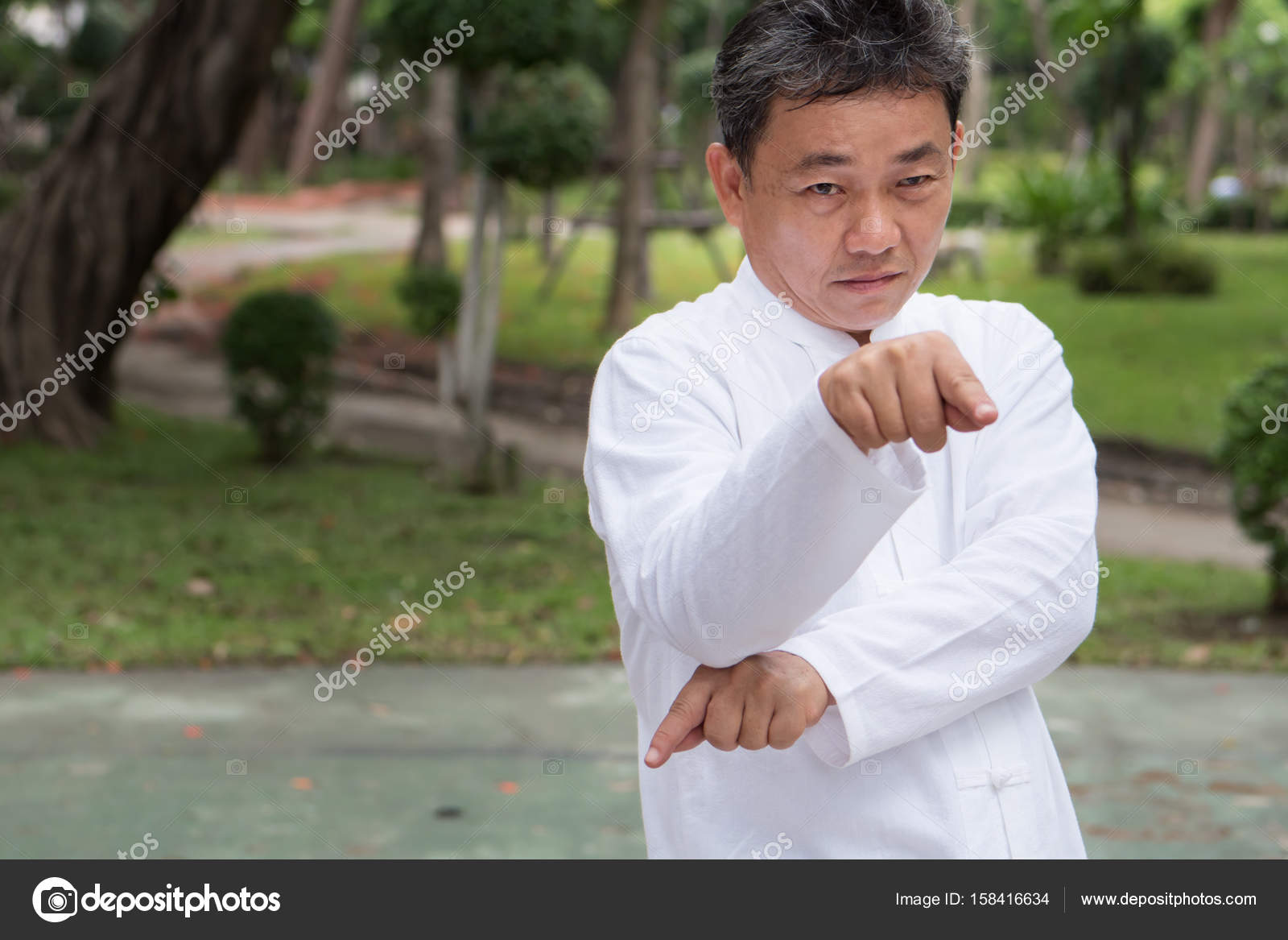 Kung Fu Mantis Style