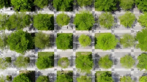 112 Soft landscaping Videos, Royalty-free Stock Soft landscaping ...