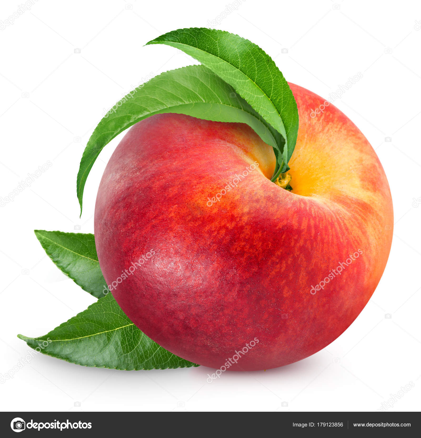 Peach fruit slice Stock Photo by ©Maks_Narodenko 179123856 Peach fruit slice Stock Photo by ©Maks_Narodenko 179123856