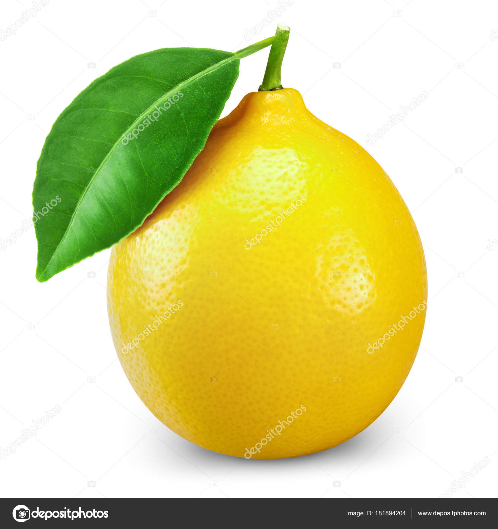 Lemon fruit leaf — Stock Photo © Maks_Narodenko #181894204 Lemon fruit leaf — Stock Photo © Maks_Narodenko #181894204