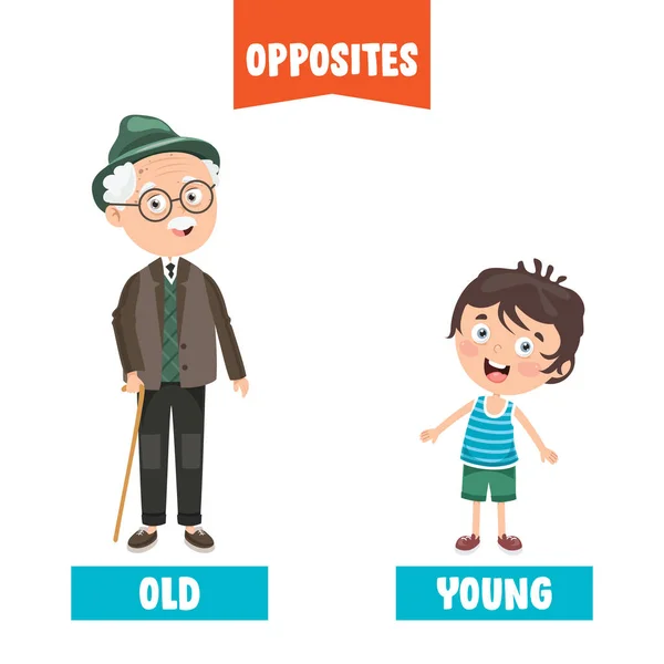 Opposites old young Vector Art Stock Images | Depositphotos