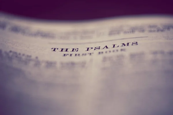 El salmo fotos de stock, imágenes de El salmo sin royalties | Depositphotos