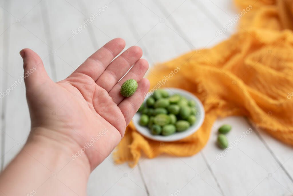 Cucamelones recién cosechados, pepino de pepinillo agrio mexicano o ...