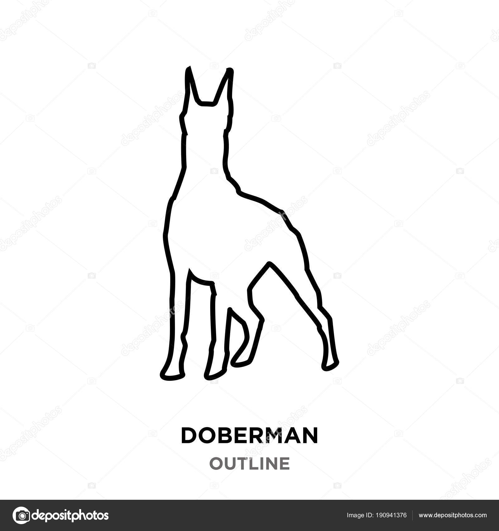 Doberman outline on white background Stock Vector by ©vectorgalaxy ...