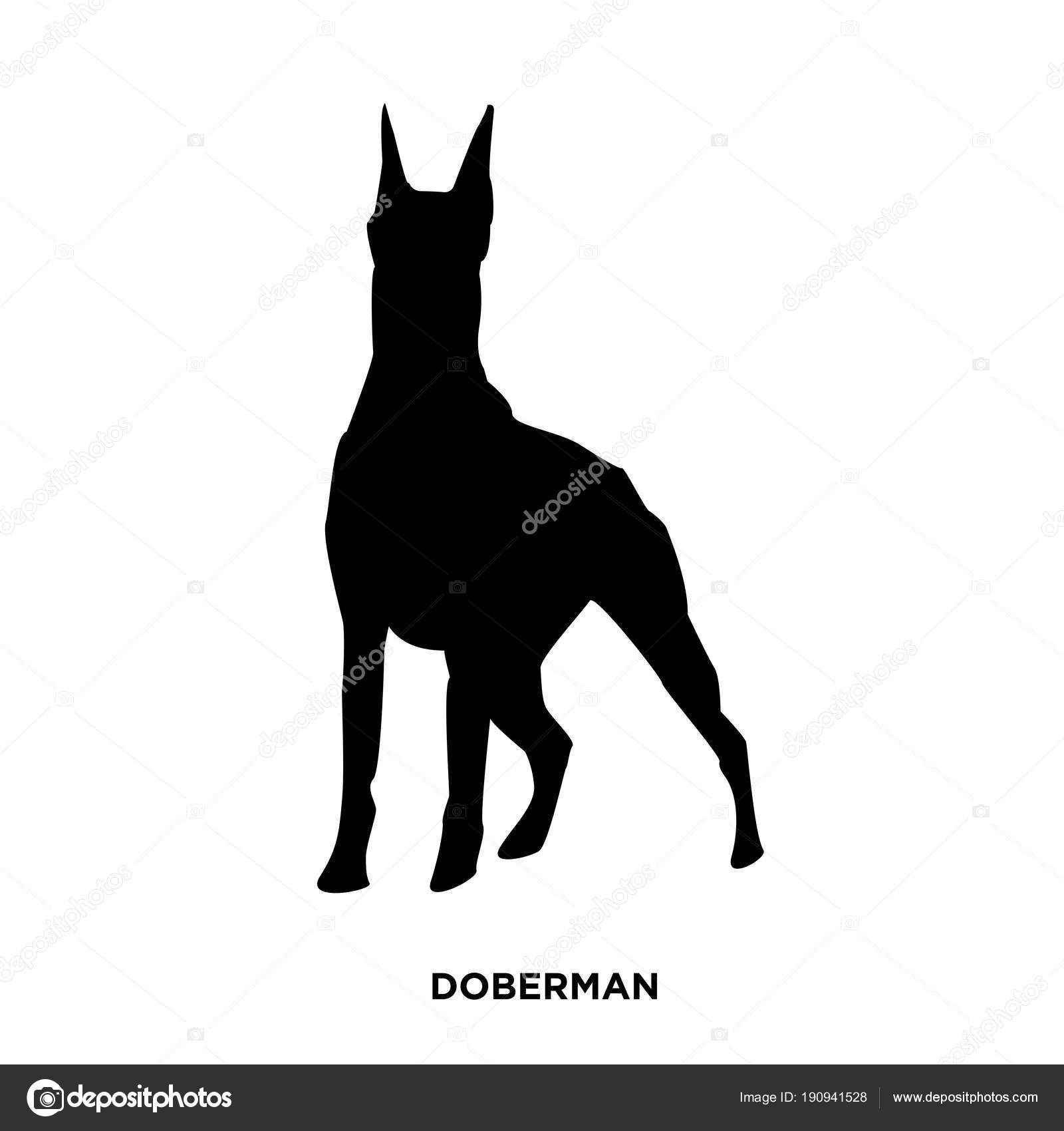 Doberman Running Silhouette