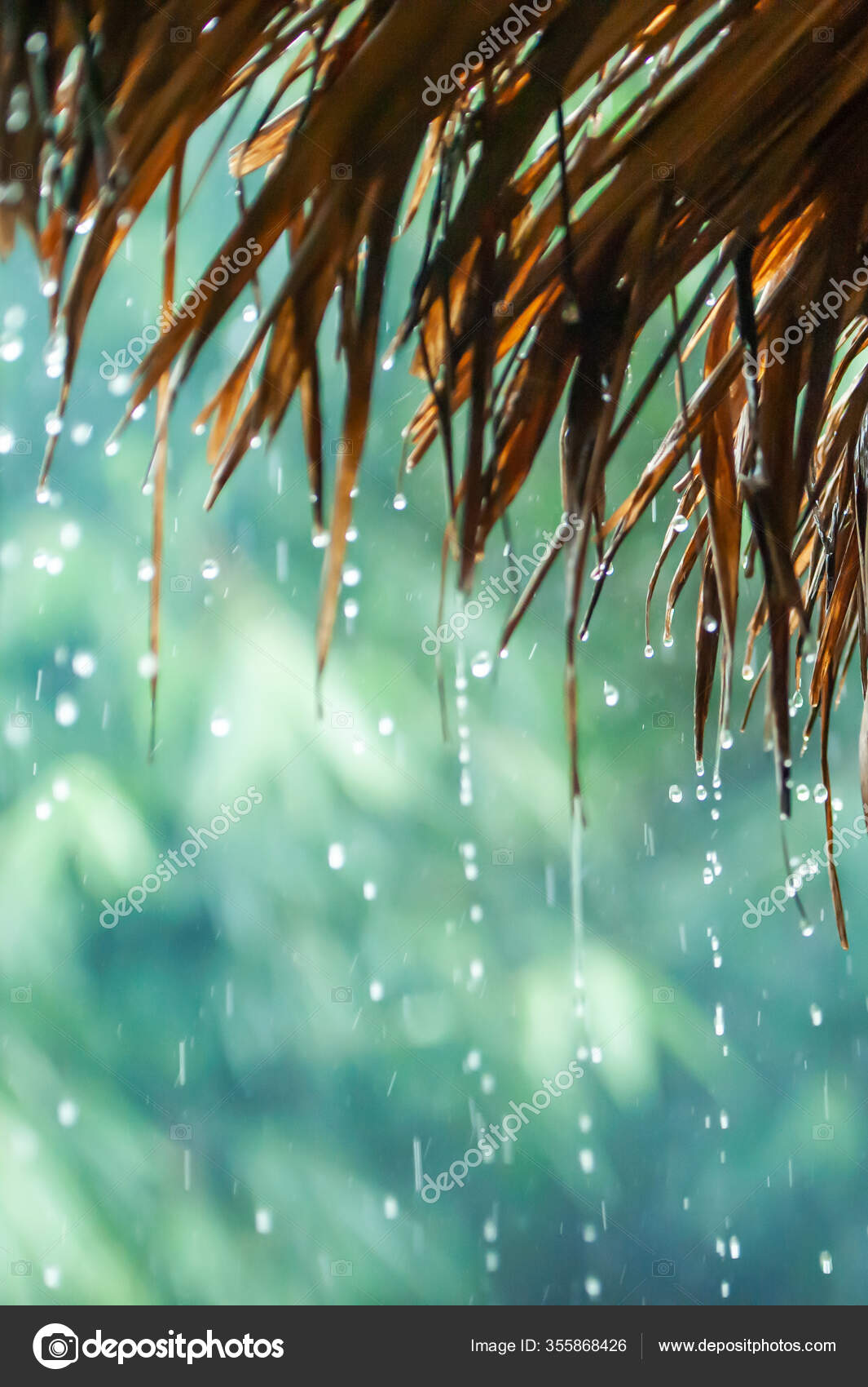Rain Falling On Grass