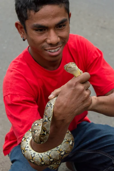 Boy with snake Stock Photos, Royalty Free Boy with snake Images ...