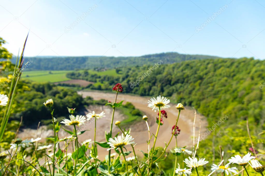River Wye en la Reserva Natural de Lancaut durante la marea baja con ...