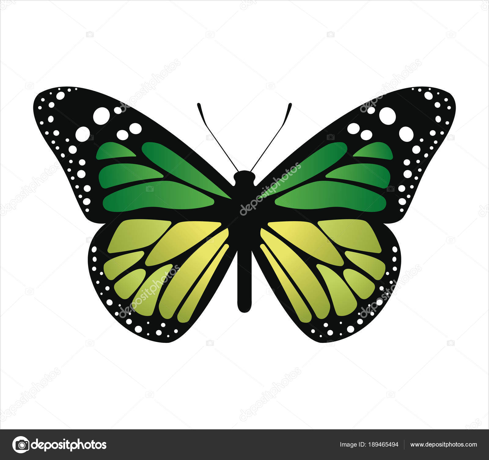 Colorful butterfly . Vector illustration Stock Vector by ©Warmworld ... Colorful butterfly . Vector illustration Stock Vector by ©Warmworld ...