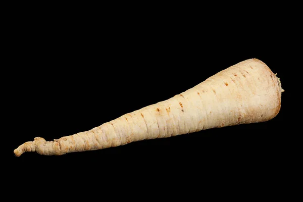 Fotos de Peter asher, Imagens de Peter asher sem royalties | Depositphotos