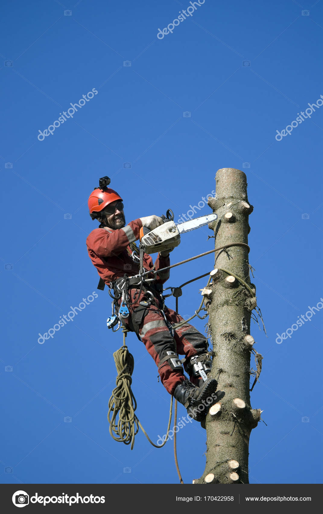 A man arborist at work Stock Photo by ©inna_g 170422958