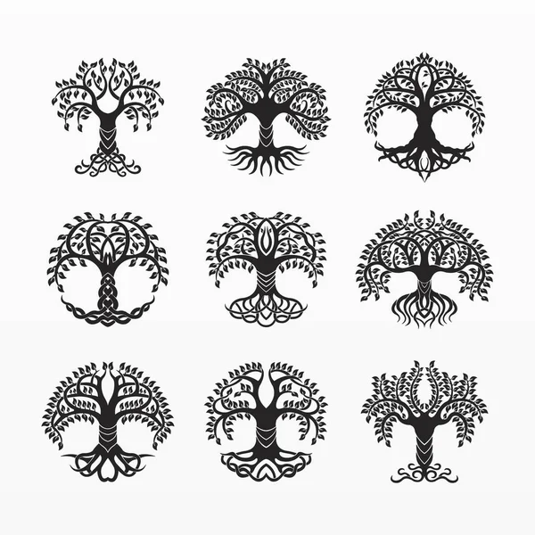 Variety Celtic Tree Set Stock Vector Image by ©marklys #352557054