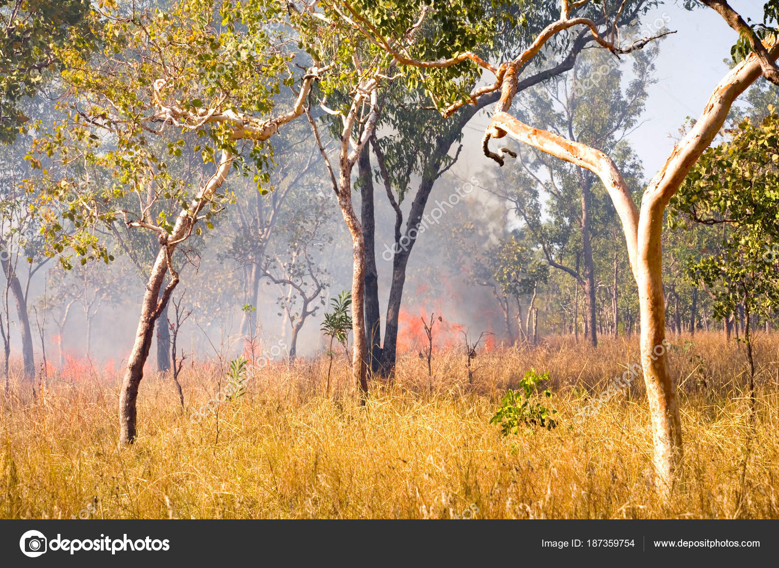 Bush Fire in Outback Australia Stock Photo by ©TravellingLight 187359754