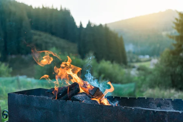 close-up of burning fire outdoor in sunset time with green forest on ...