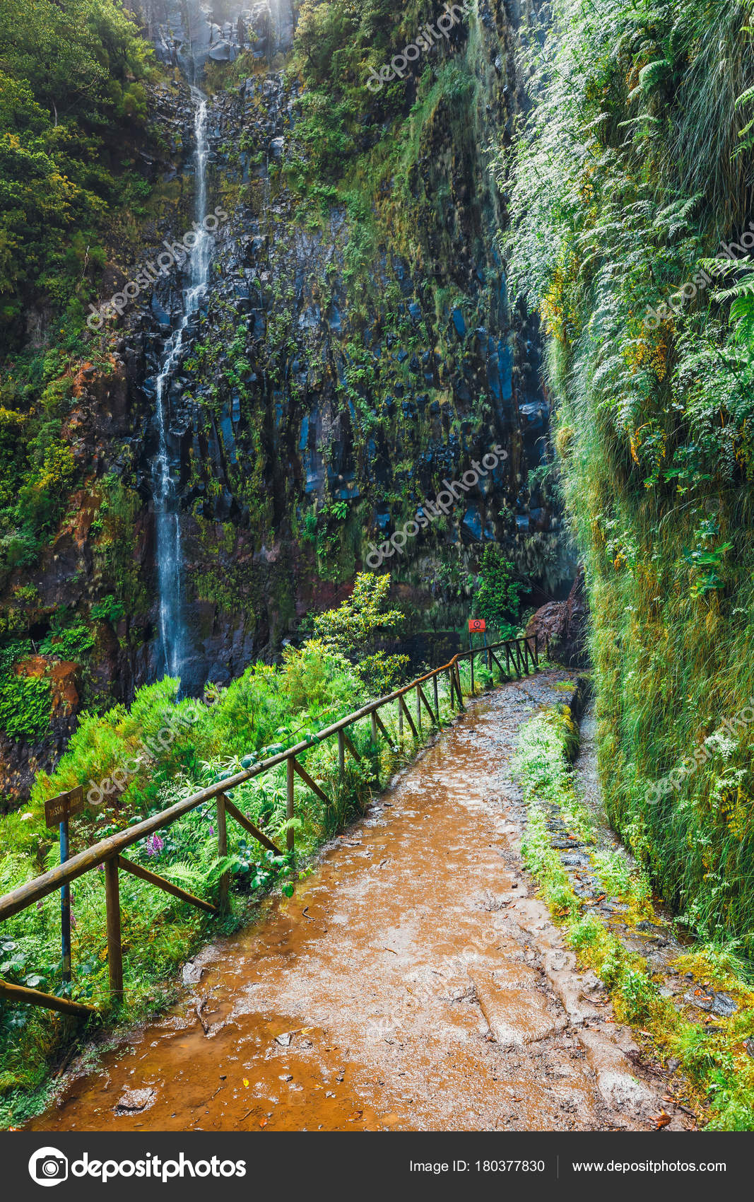 Camino de montaña a Levada das 25 fontes y Levada do Risco, Isla de ...