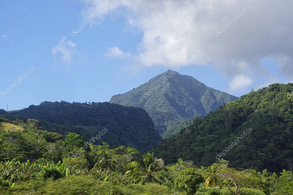 El paisaje de las montañas en la isla de Dominica, Antillas Menores 2023