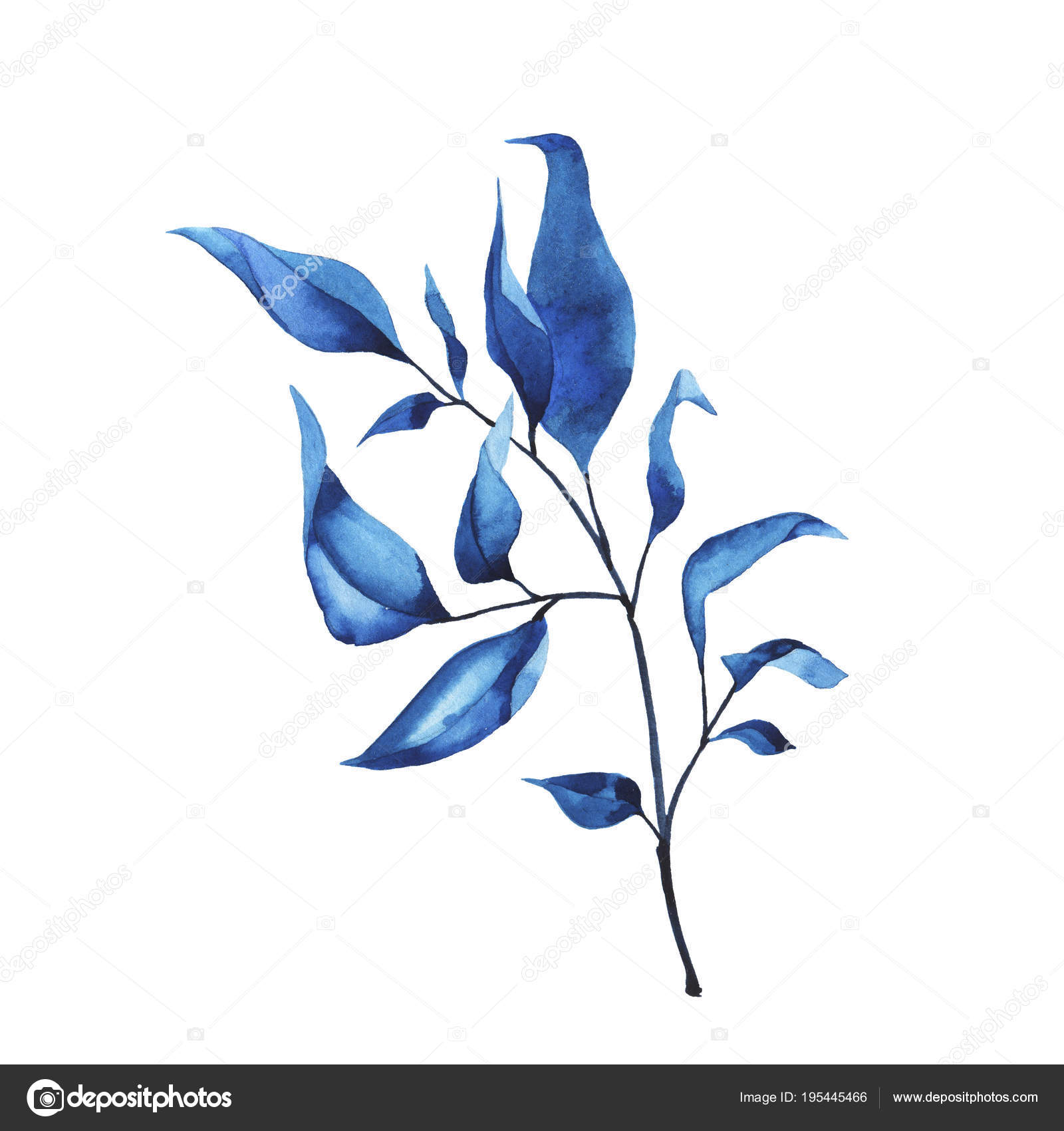 Blue Branch Isolated White Background Hand Drawn Watercolor ...